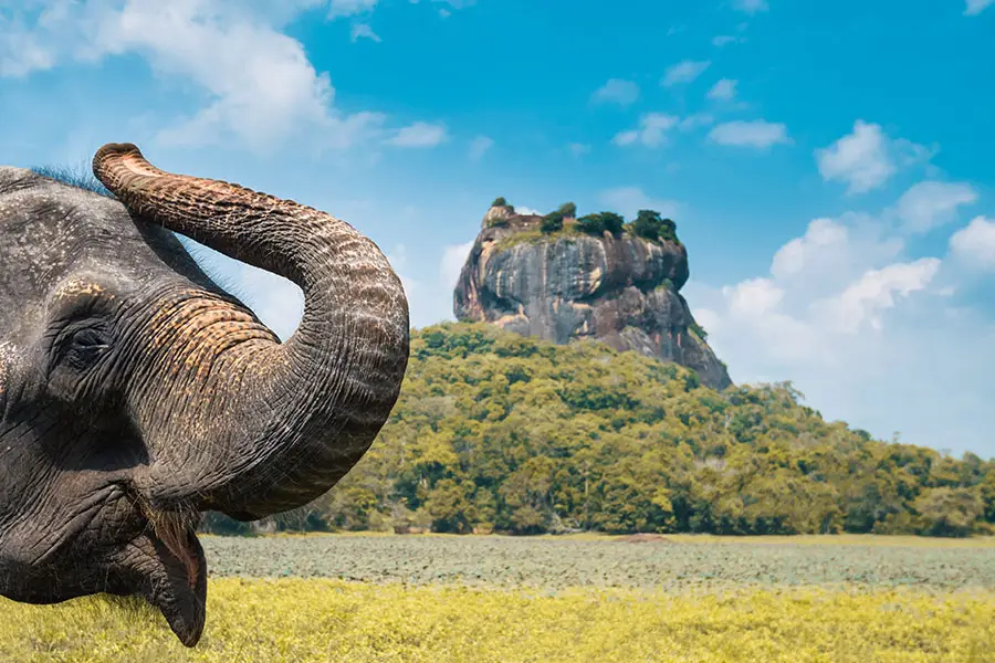 About Mihiliya Tours | Your Trusted Travel Partner in Sri Lanka